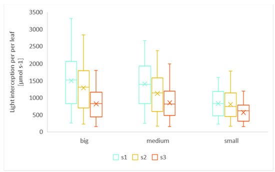 Interactions between Diffuse Light and Cucumber (Cucumis sativus L ...