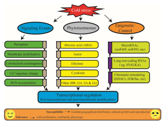 Plant Low-Temperature Stress: Signaling and Response
