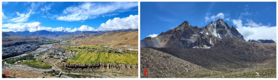 Wild Plants Used by Tibetans in Burang Town, Characterized by Alpine ...