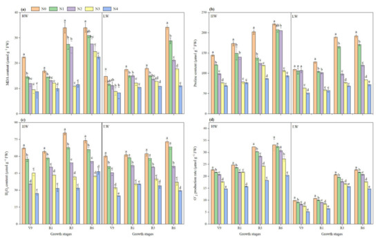 Nitrogen Fertilizer Modulates Plant Growth, Chlorophyll Pigments and ...