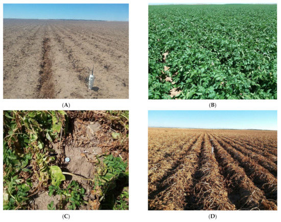 Agronomy | An Open Access Journal from MDPI