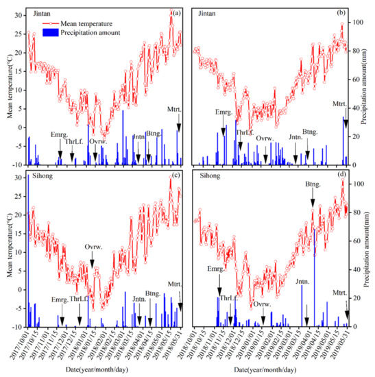 Agronomy | An Open Access Journal from MDPI