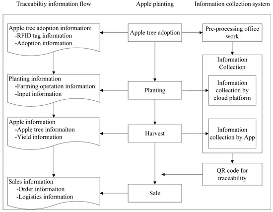 Streamlining Traceability Data Generation in Apple Production Using ...