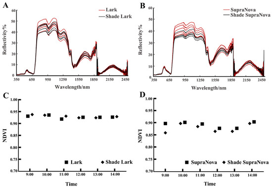 Agronomy | Special Issue : Advances in Genetics, Breeding, and Quality ...