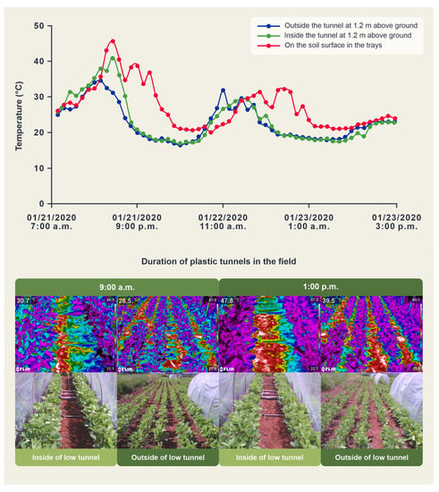 Volatilization of Dicamba Diglycolamine Salt in Combination with ...