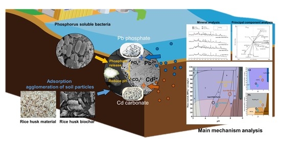 Agronomy | Free Full-Text | Combination of Biochar and Phosphorus Solubilizing Bacteria to ...