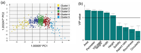 Diversity Characterization of Soybean Germplasm Seeds Using Image Analysis