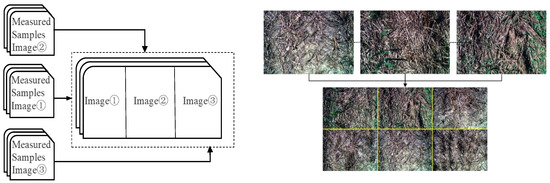 Estimation of Winter Wheat Residue Coverage Based on GF-1 Imagery and Machine Learning Algorithm