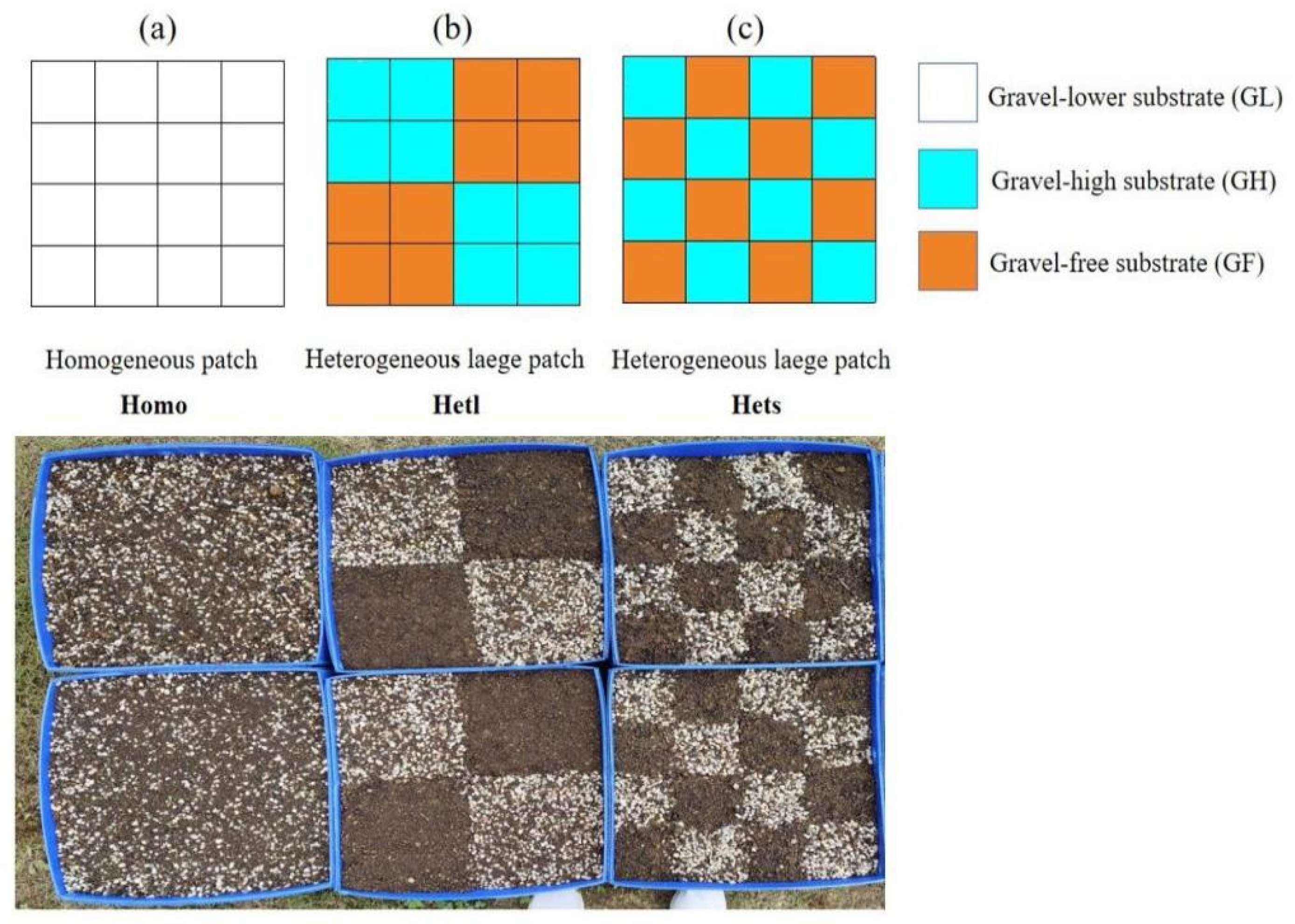 Karst Soil Patch Heterogeneity with Gravels Promotes Plant Root ...