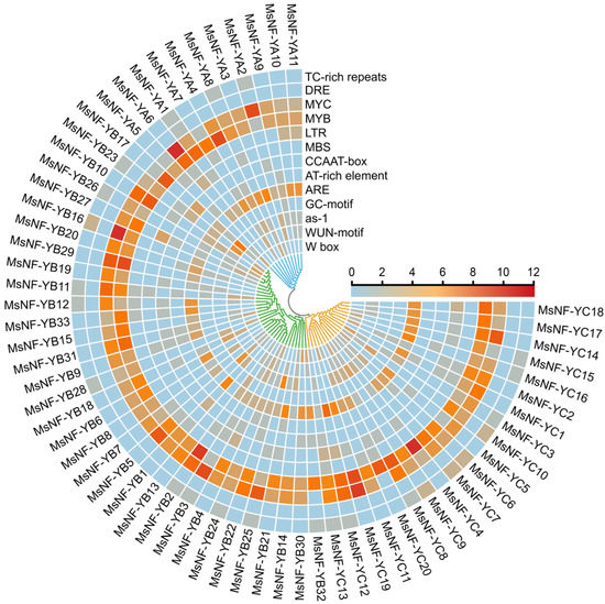 Agronomy | Free Full-Text | Genome-Wide Identification and Analysis of ...