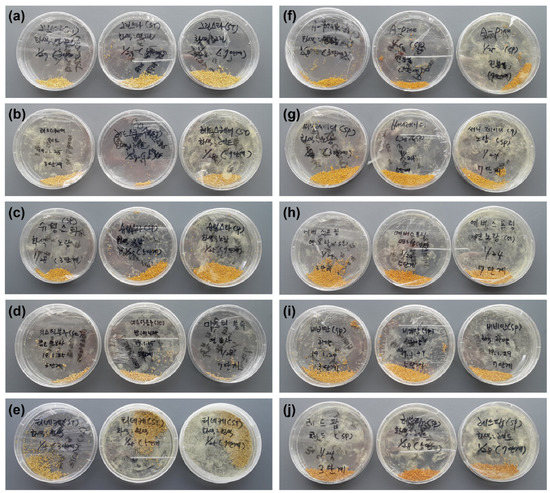Rose Pollen Management Methods to Improve Productivity