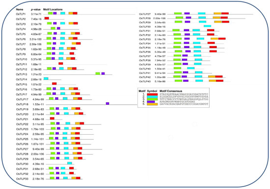 Comprehensive Bioinformatics and Expression Analysis of the TLP Gene ...