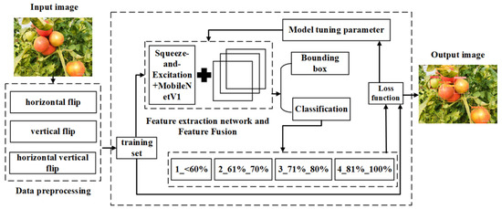 Tomato Maturity Classification Based on SE-YOLOv3-MobileNetV1 Network ...