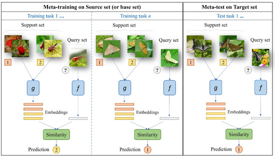 Insect Pest Image Recognition: A Few-Shot Machine Learning Approach ...