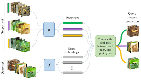 Agronomy | Free Full-Text | Insect Pest Image Recognition: A Few-Shot ...