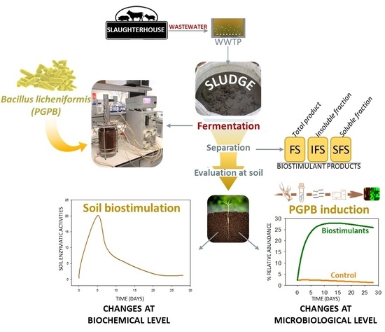 Agronomy | An Open Access Journal from MDPI