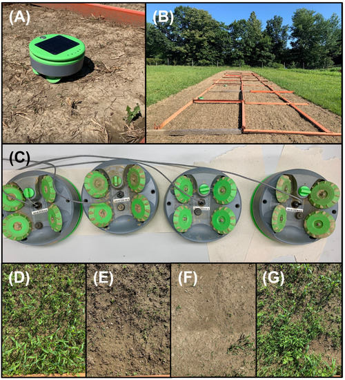 Agronomy | Free Full-Text | Effects of Tertill® Weeding Robot on Weed ...