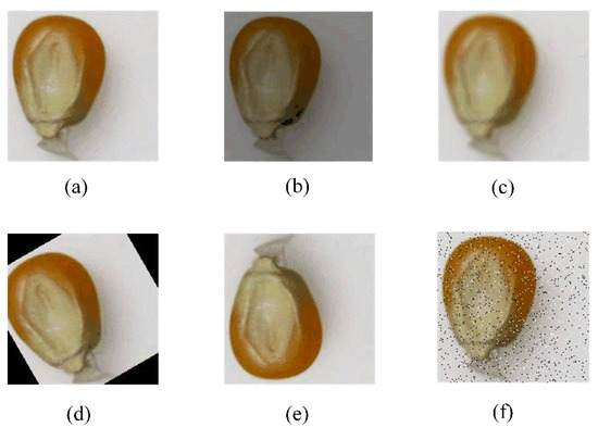 Development of Deep Learning Methodology for Maize Seed Variety ...