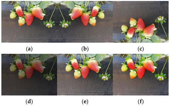 Determining Strawberries’ Varying Maturity Levels by Utilizing Image Segmentation Methods of ...