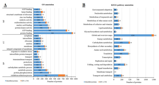 Agronomy | An Open Access Journal from MDPI