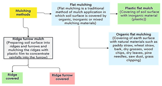 Mulching as a Sustainable Water and Soil Saving Practice in Agriculture ...