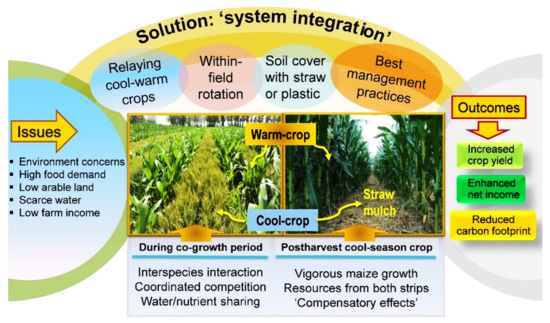 Mulching as a Sustainable Water and Soil Saving Practice in Agriculture ...