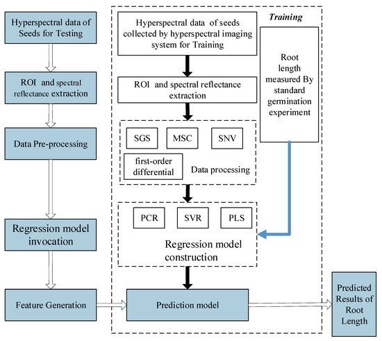 Prediction of Maize Seed Vigor Based on First-Order Difference ...