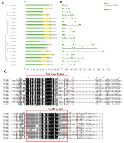 Agronomy | An Open Access Journal from MDPI