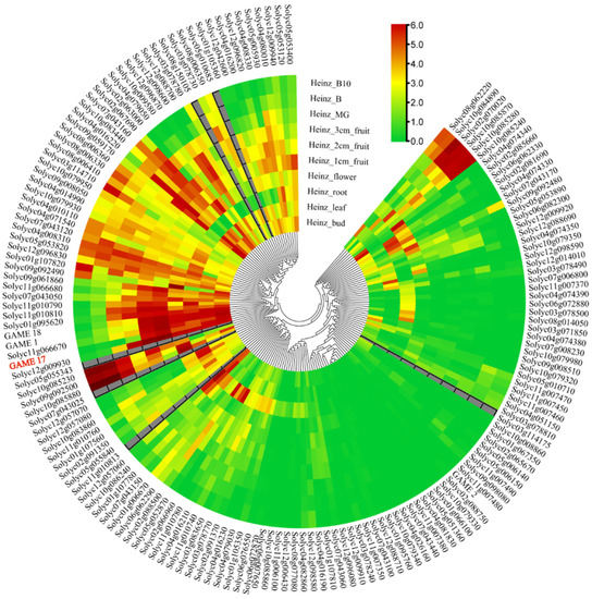 Identification and Characterization of the Tomato UGT Gene Family and ...