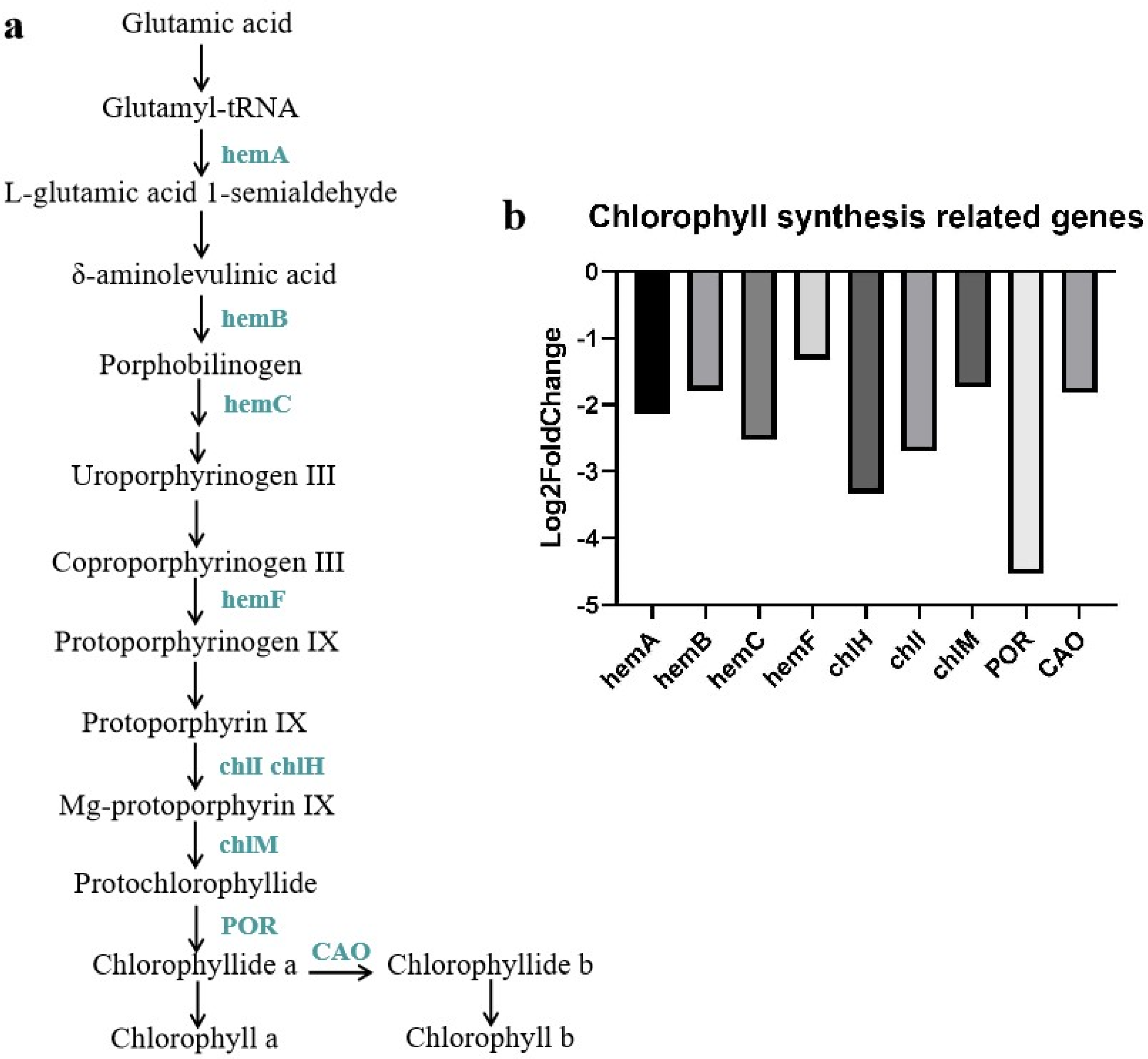 Metabolomic and Transcriptomic Analyses Reveal Association of Mature Fruit Pericarp Color ...