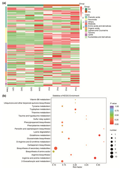Agronomy | Free Full-Text | The Combined Analysis of Transcriptome and Metabolome Provides ...