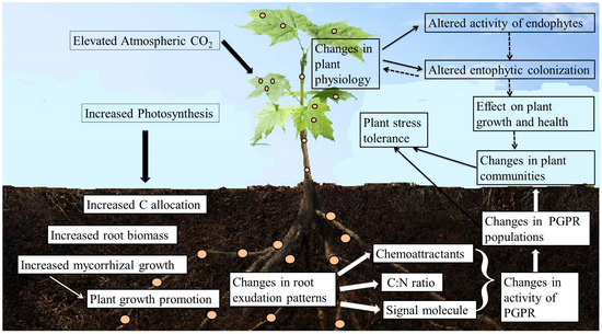 Agronomy | Free Full-Text | Mechanisms and Strategies of Plant ...