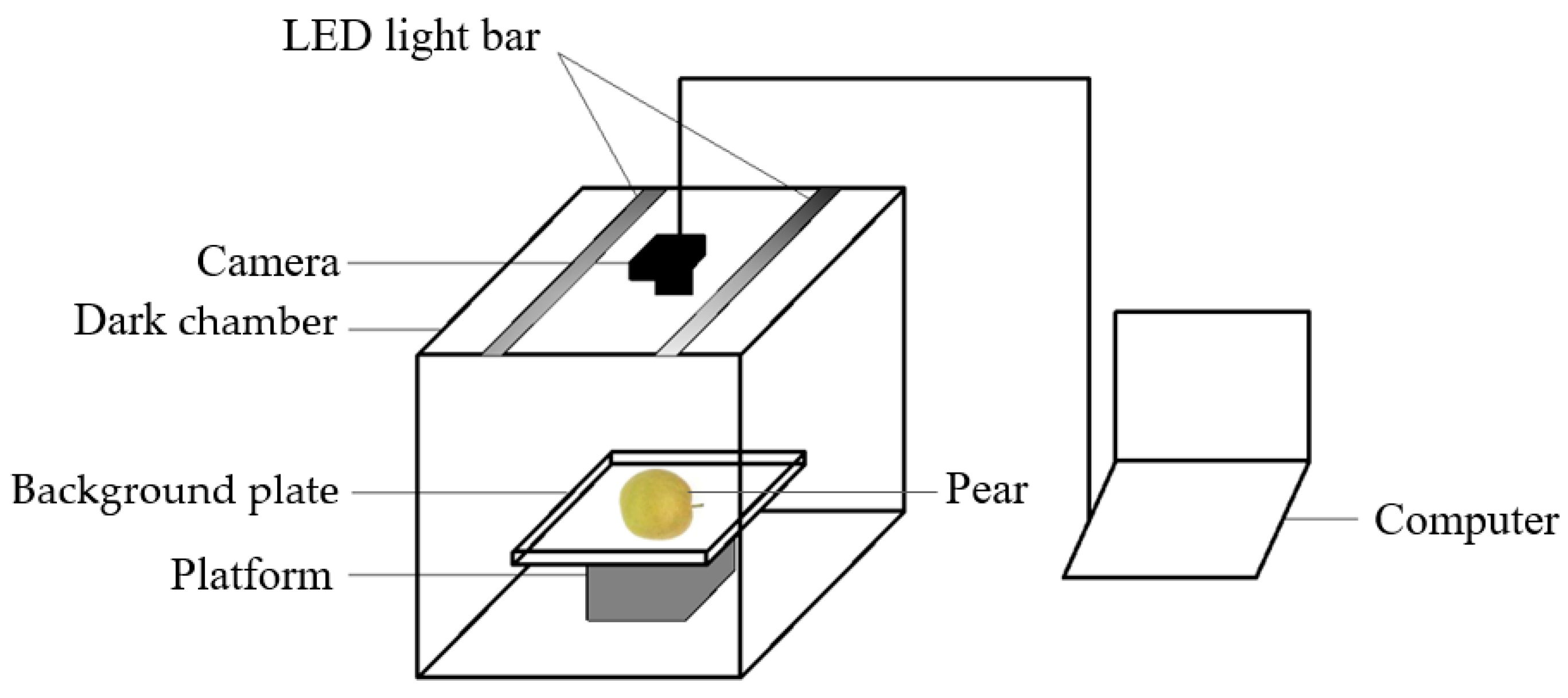 Surface Defect Detection of “Yuluxiang” Pear Using Convolutional Neural Network with Class ...