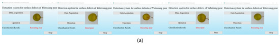 Surface Defect Detection of “Yuluxiang” Pear Using Convolutional Neural Network with Class ...