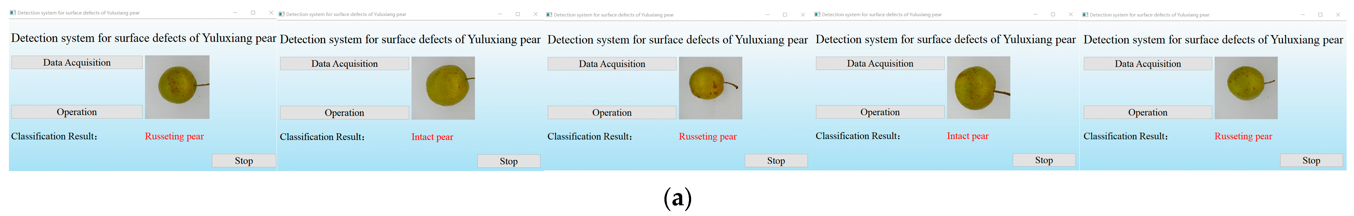 Surface Defect Detection of “Yuluxiang” Pear Using Convolutional Neural Network with Class ...