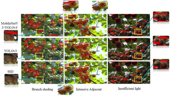 Kiwifruit Detection Method in Orchard via an Improved Light-Weight YOLOv4