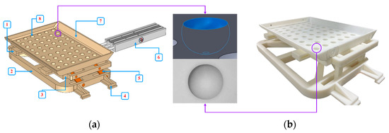 Design and Optimization of a Machine-Vision-Based Complementary Seeding Device for Tray-Type ...