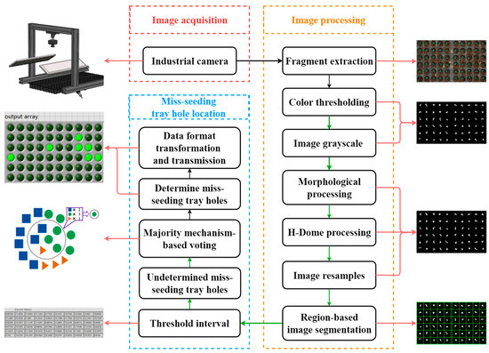 Design and Optimization of a Machine-Vision-Based Complementary Seeding Device for Tray-Type ...
