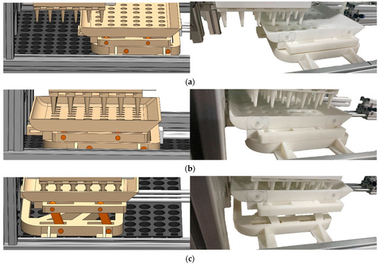 Design and Optimization of a Machine-Vision-Based Complementary Seeding Device for Tray-Type ...