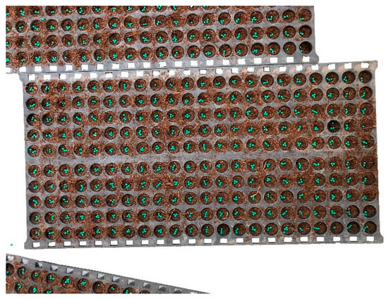 Design and Optimization of a Machine-Vision-Based Complementary Seeding Device for Tray-Type ...