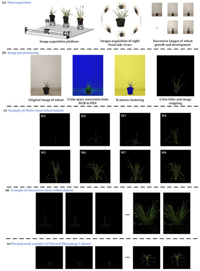 Predicting Plant Growth and Development Using Time-Series Images