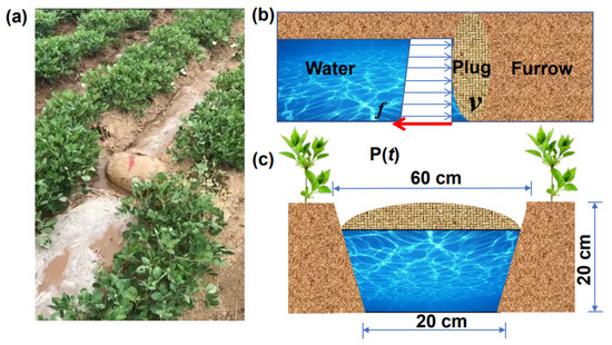 The Effect of Plug Height and Inflow Rate on Water Flow Characteristics ...