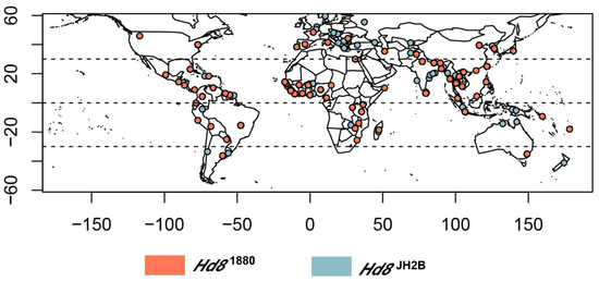 Natural Variation of OsHd8 Regulates Heading Date in Rice
