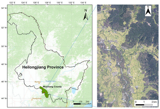 Agricultural Field Boundary Delineation with Satellite Image ...