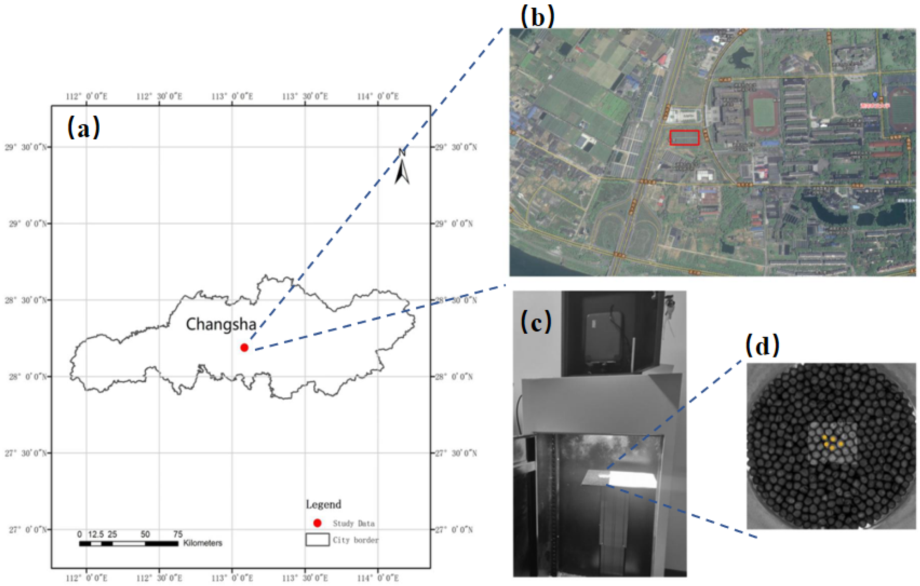 Rapeseed Variety Recognition Based on Hyperspectral Feature Fusion
