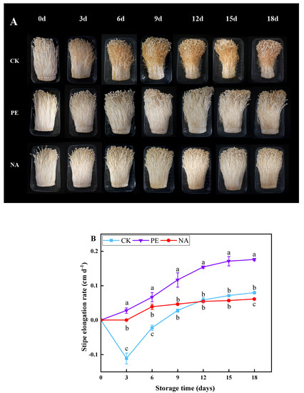 Regulation of Polyethylene Nano-Packaging on Postharvest Stipe ...
