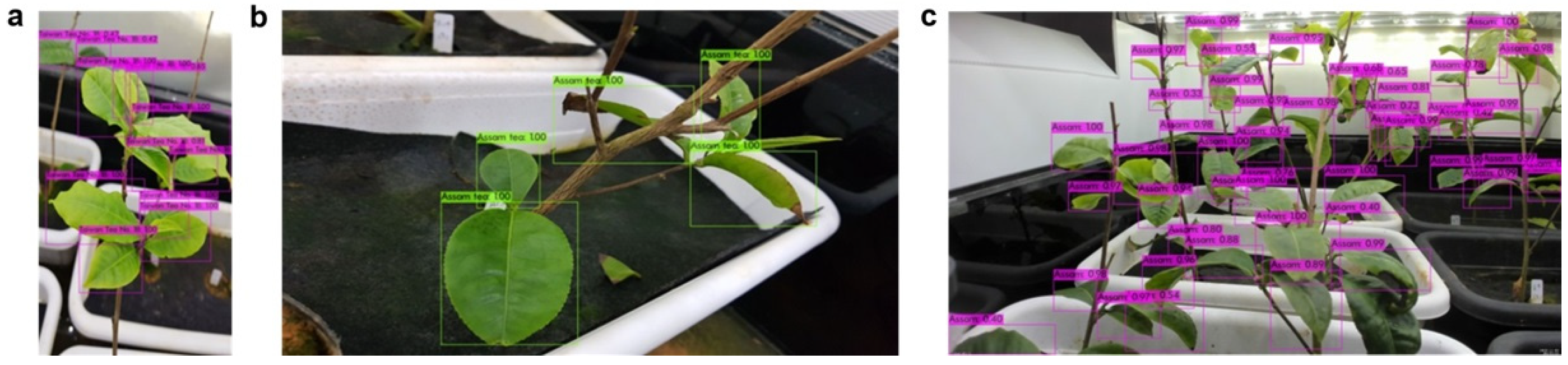 Agronomy | Free Full-Text | Design and Implementation of Artificial Intelligence of Things for ...