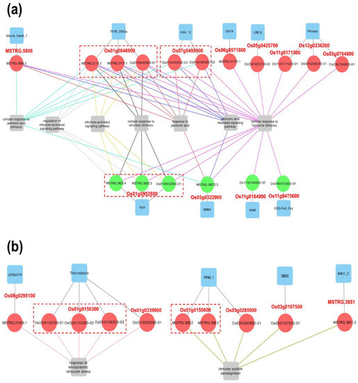 A Genome-Wide Alternative Splicing Landscape Specifically Associated ...