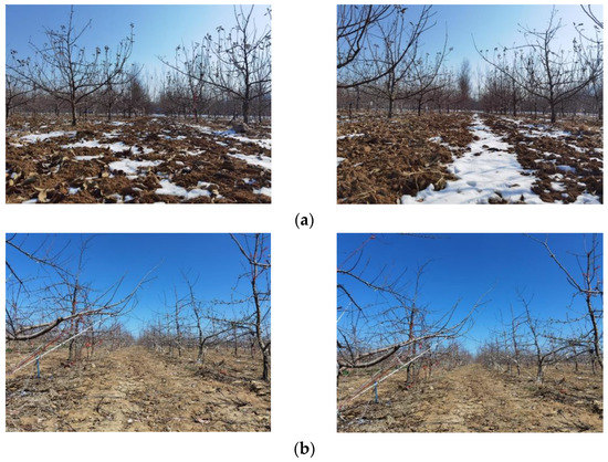 Tree Trunk and Obstacle Detection in Apple Orchard Based on Improved YOLOv5s Model