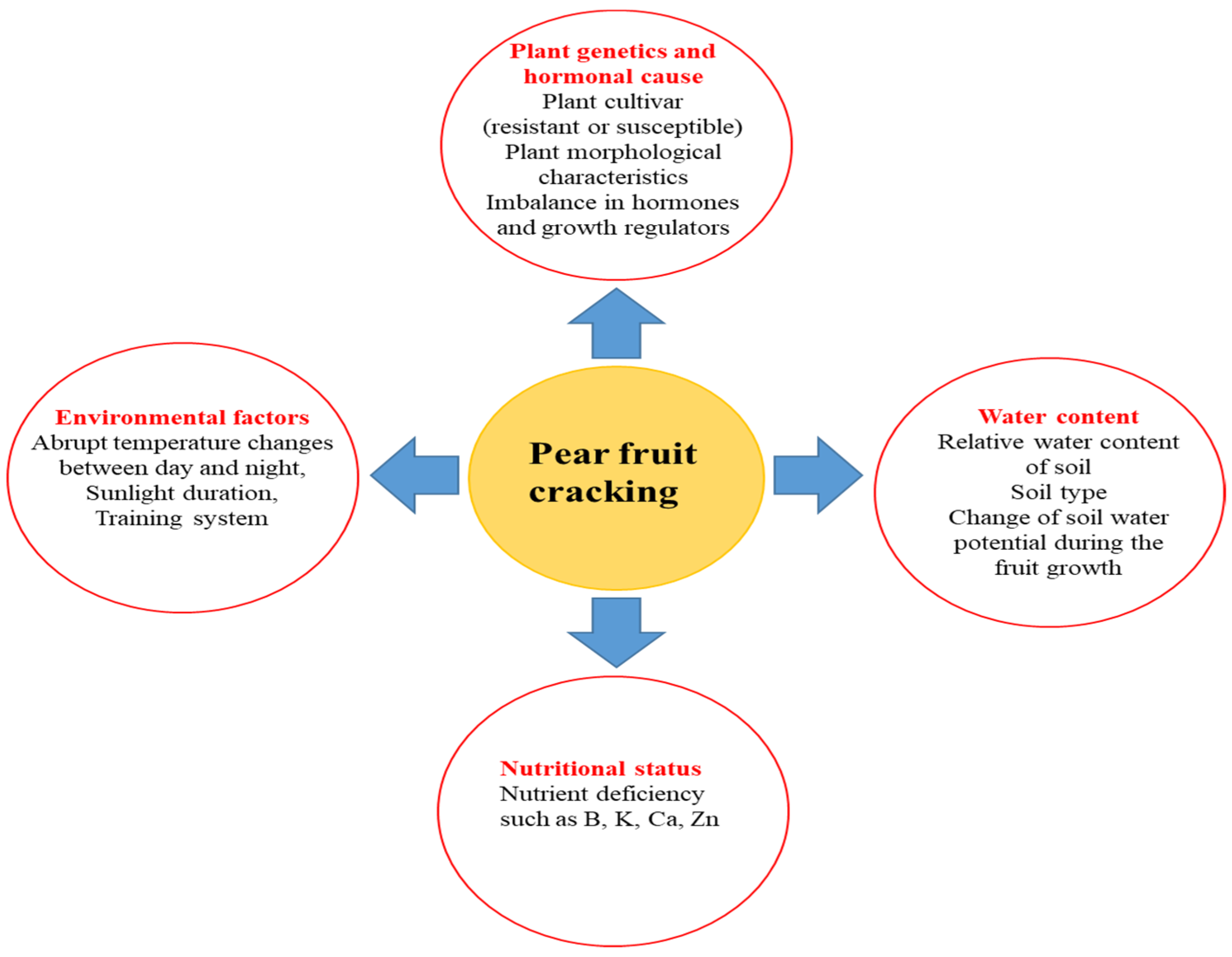 Fruit Cracking in Pears: Its Cause and Management—A Review